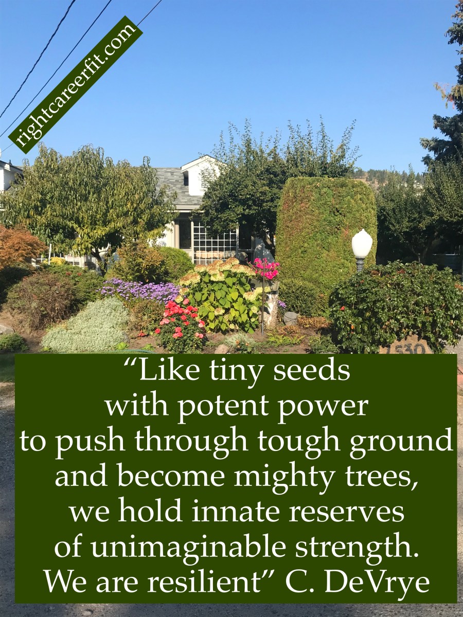 Word of the Year: Resile – Hoda's Musings